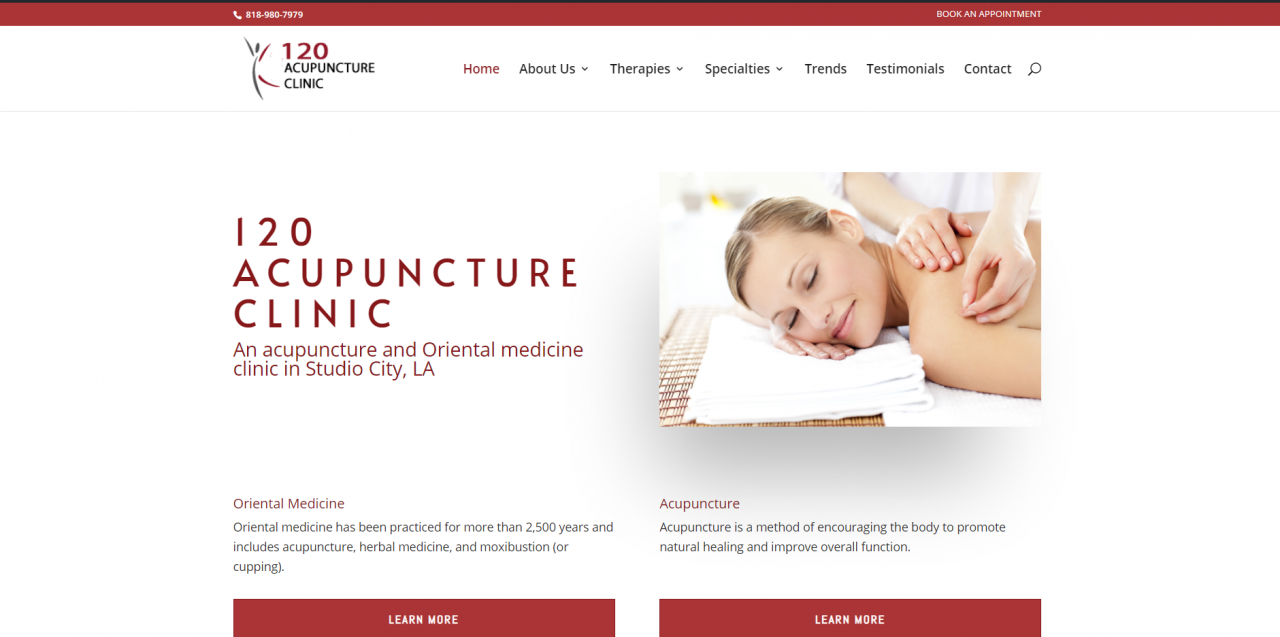 Acupuncture Website - Turbo WP Devs - Super Fast Custom Website Design ...